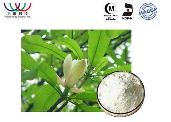 White Powder Magnolia Grandiflora Bark Extract , 100% Natural Pure Honokiol Extract