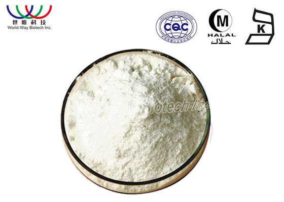 Organic Knotweed Extract Resveratrol Powder Anti - Cancer For Medicine