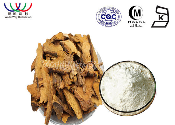 Giant Knotweed Rhizome Extract Resveratrol Natural Anti Aging Plant Ingredients