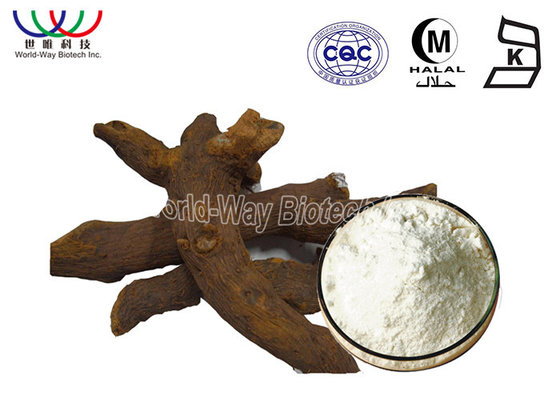 Japanese Knotweed Resveratrol Extraction , Organic Polygonum Cuspidatum Root Extract