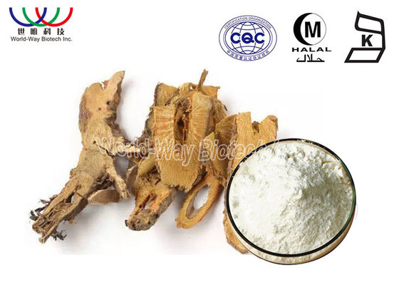 Organic Knotweed Extract Resveratrol Powder Anti - Cancer For Medicine