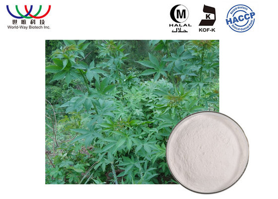 Pharmaceutical Organic Stevia Leaf Extract , Natural Stevia Extract Sweeteners For Diabetics