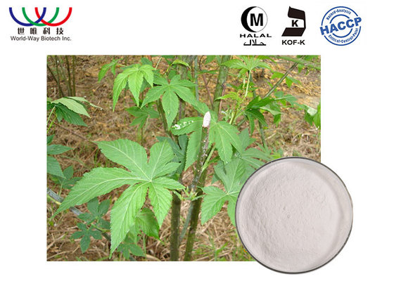 Water Soluble Sweet Tea Extract 85% Rubusoside Anti - Diabetics For Food And Beverage