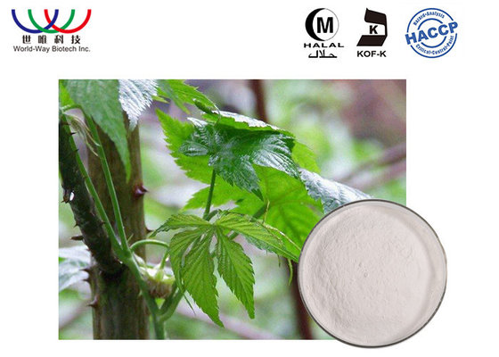 Herbal Medicine Pure Stevia Extract Powder , Rubus Suavissimus Organic Stevia Extract