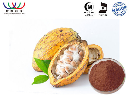 Anti - Aging Cocoa Extract Powder , Raw Cocoa Butter For Skin Cosmetics