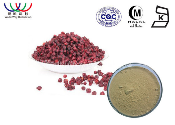 Fructus Schisandra Chinensis Extract 2% 5% 9% Schizandrin A Strengthening Kidney Function
