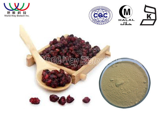 Health Care Pure Herbal Extracts , Schisandra Fruit Extract Improves Mental Performance