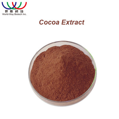 Antioxidant Cocoa Bean Extract Chocolate Fine Powder For Food Supplement