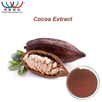 Antioxidant Cocoa Bean Extract Chocolate Fine Powder For Food Supplement