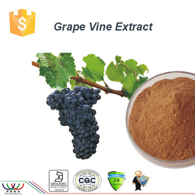 Grape Vine Knotweed Extract Resveratrol Water Soluble 5% Viniferin Anti Aging