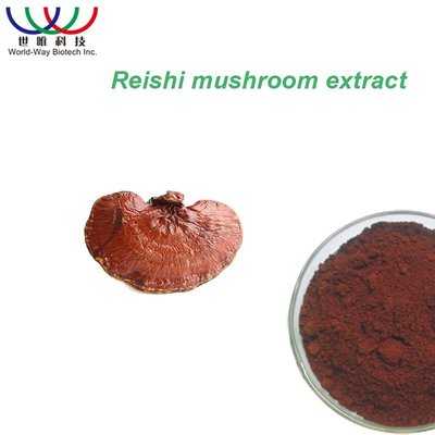 Anti - Aging Red Ganoderma Lucidum Powder , Reishi Mushroom Powder For Food Field