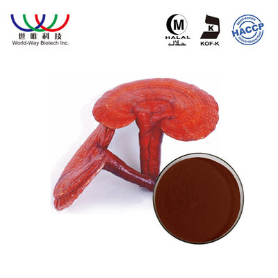 Red Reishi Mushroom Extract Ganoderma Lucidum Powder For Function Food