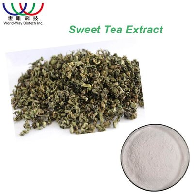Zero Calorie Sweet Tea Extract , 70% - 90% Rubusoside Natural Plant Extracts