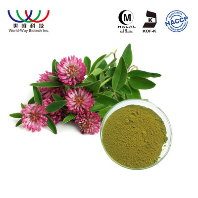 Red Clover Leaf Pure Natural Plant Extracts Formononetin Powder 8% - 40% Isoflavones