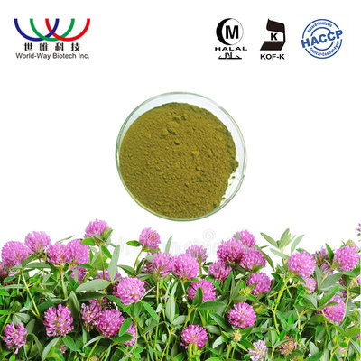 Red Clover Leaf Pure Natural Plant Extracts Formononetin Powder 8% - 40% Isoflavones