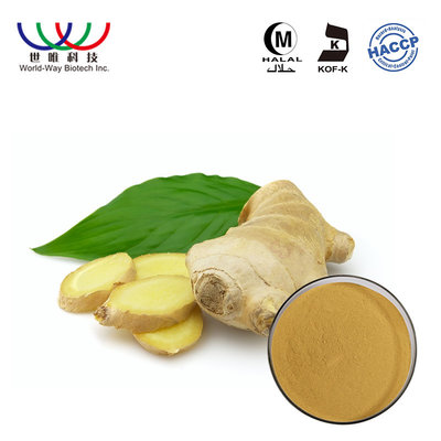 Ginger Root Pure Plant Extract Food Grade Powder With Gingerols 5% - 20%