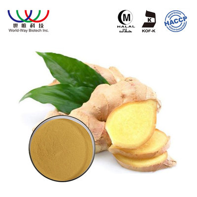 Ginger Root Pure Plant Extract Food Grade Powder With Gingerols 5% - 20%