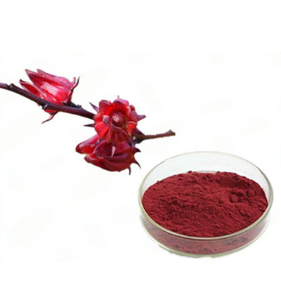 Kosher HACCP Halal Certified Hibiscus Extract Powder 15% Anthocyanidins