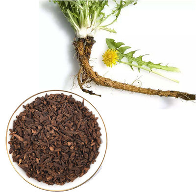 Powder Natrual Organic Dandelion Root Extract Without Pesticide Residue