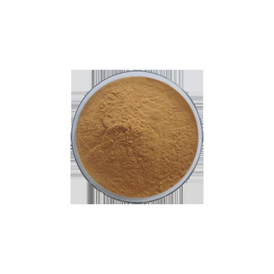 HOT SALE Dandelion Root Extract Powder 4 / 1 For Aid Blood Sugar Control