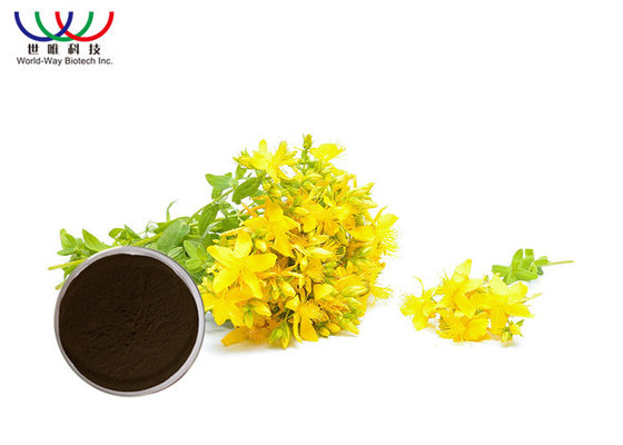Hypericum Perforatum St John'S Wort Extract Natural 0.3% Hypericins For Depression