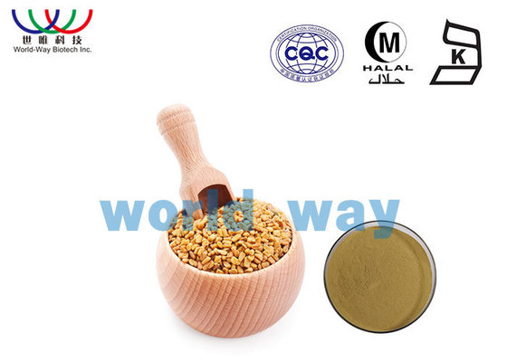 Natural Herbal Fenugreek Extract Powder Characteristic Odor Enhances Pancreas'S Function