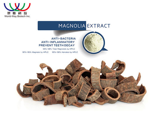 Food Supplement Nutricology Magnolia Extract , Magnolia Officinalis Extract Anti - Anxiety