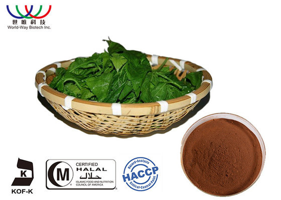 Natural Pure Morus Alba Extract Mulberroside Anti - Bacteria For Skin Cosemtic