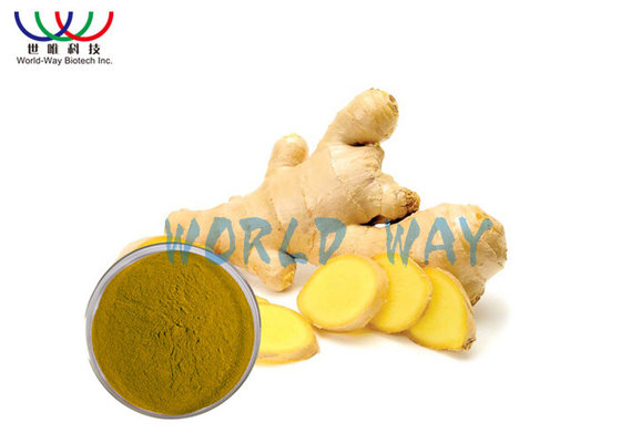 Healthy Natural Ginger Extract , Organic Ginger Extract Relieve Gastrointestinal Diseases