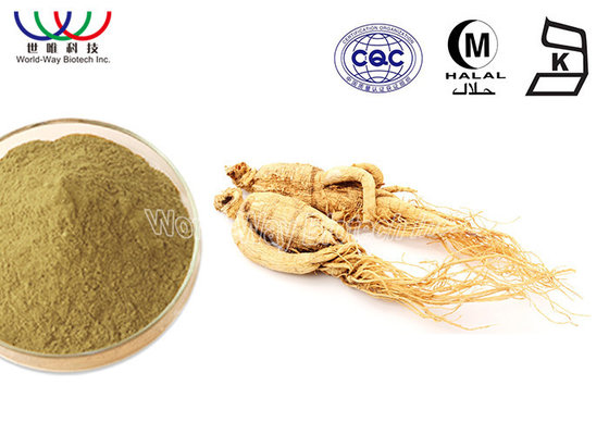 Herb Ginseng Root Extract 10% Ginsenoside Powder Oxygen Resistance For Cosmetics Field