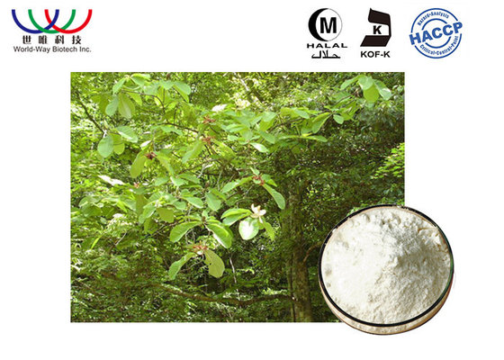 Comestics Ingredients Magnolia Bark Extract Fine White Powder 98% Honokiol Anti Bacterial