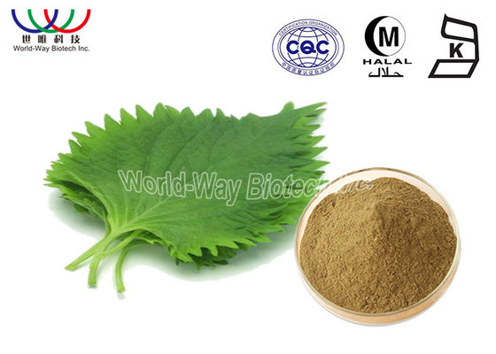 Mulberroside Mulberry Leaf Extract , Yellow Powder Mulberry Extract For Diabetes