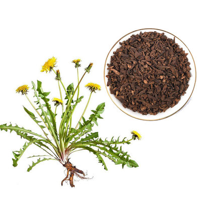 HACCP Certificated Organic Roasted Dandelion Root Extract Paper Drum Packaging