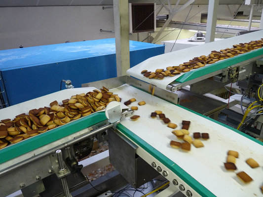 Food Grade Endless Material Handling Conveyor Belt PVC / Polyurethane White Color supplier