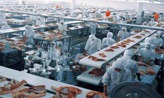Custom Food Grade Polyurethane Conveyor Belt / PU Conveyor Belt For Food Industry supplier