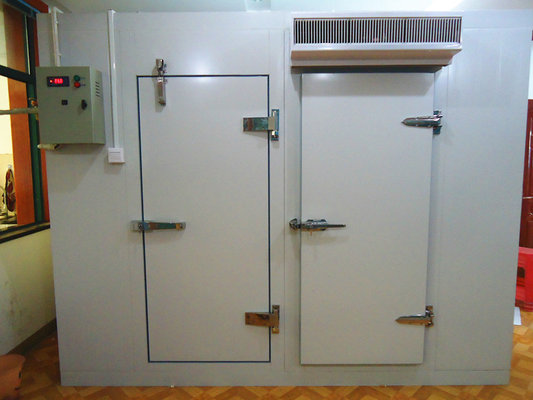 1 * 2.2m Cold Room Swing Door with PU 100mm / Semi-hinged & full hinged