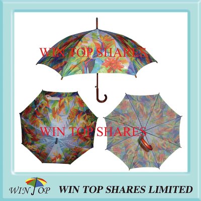 China Nature Plant Hot Transfer Printing Wooden Umbrella supplier