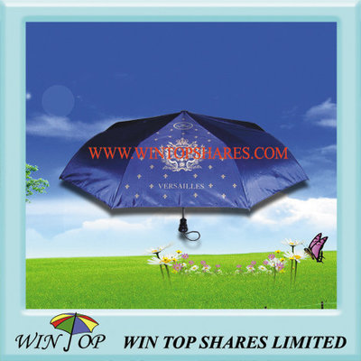 China France Versailles Gift Umbrella(WT5069) supplier