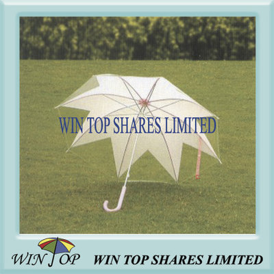 China 23" Auto Straight Steel Frame EVA Umbrella (WTP021) supplier