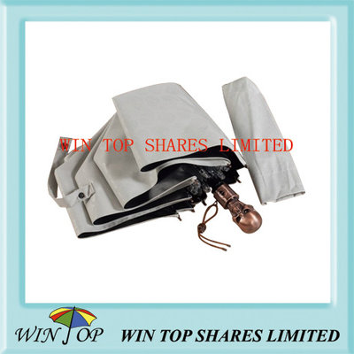 Auto Open and Close Skeleton Umbrella supplier