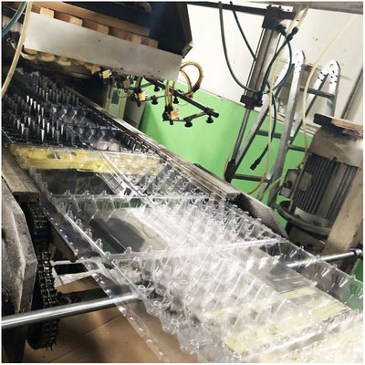 APET plastic sheet rolls food grade pet sheet for thermoforming factory recycled plastic sheet in rolls for blister pack