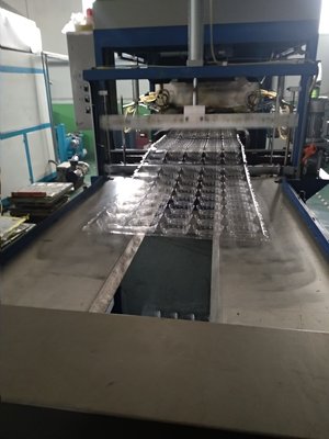 APET plastic sheet rolls food grade pet sheet for thermoforming factory recycled plastic sheet in rolls for blister pack