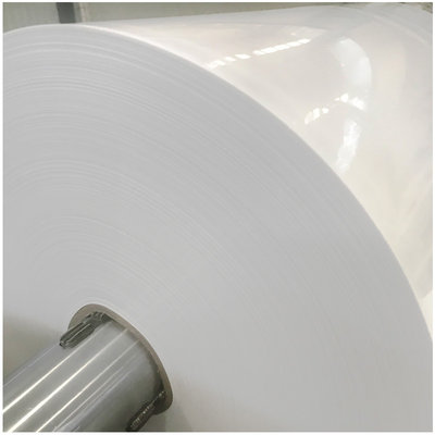 Non toxic PP film rolls thermoforming rigid PP plastic sheet rolls factory