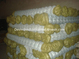 China electro galvanized iron wire mesh/ high quality galvanized chain link fence supplier