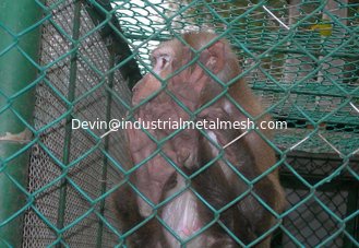 China High Quality Fence Netting/wire Mesh/chain Link Fence supplier