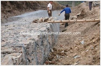 China New Innovative Product Hexagonal Chicken Wire Mesh supplier