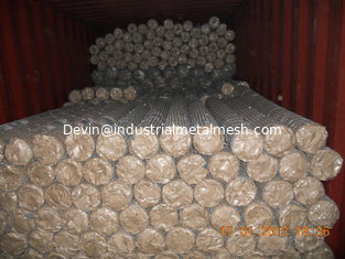 China galvanized hexagonal wire mesh/1/2 inch chicken wire netting supplier