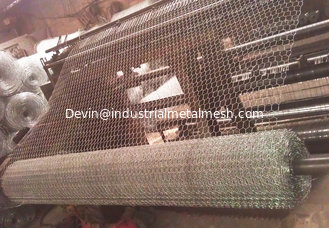China 50*200mm (Manufacturer) Galvanized/PVC coated Hexagonal Wire Mesh /Livestock Wire Netting supplier