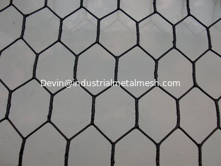 China Hexagonal Wire Mesh/ Chicken wire mesh / hexagonal wire netting (Factory)) supplier