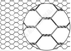 China hexagonal wire mesh 10mm/heavy duty chicken wire/chicken wire cage supplier